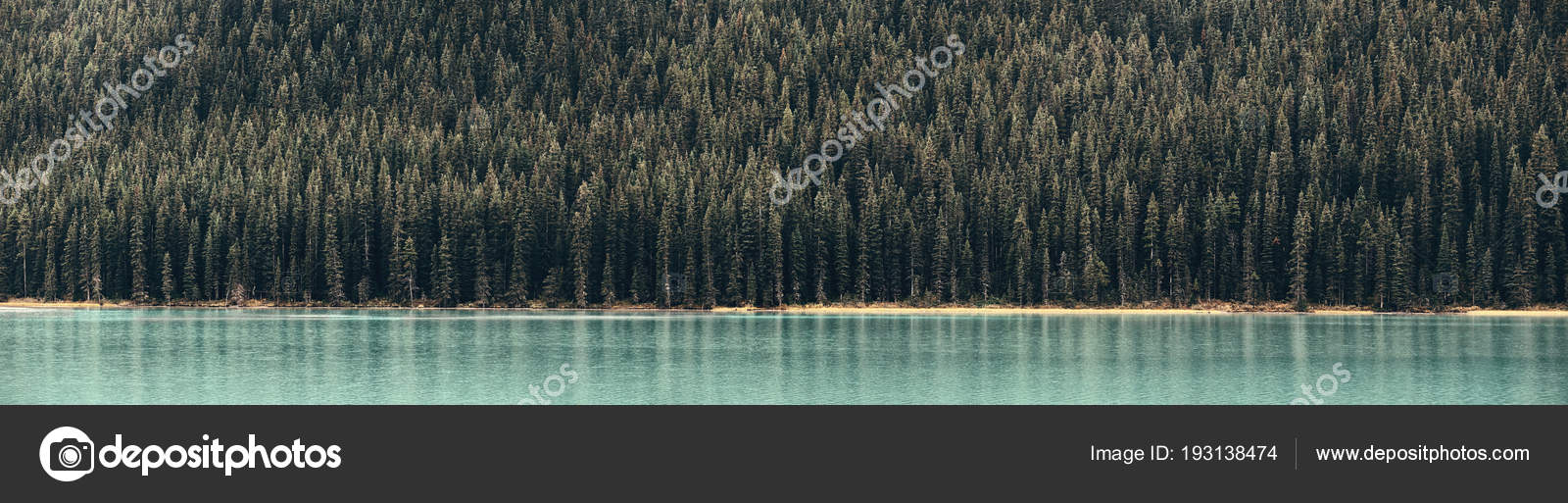 Forest Panorama Lake Waterfront Banff National Park Canada — Stock ...