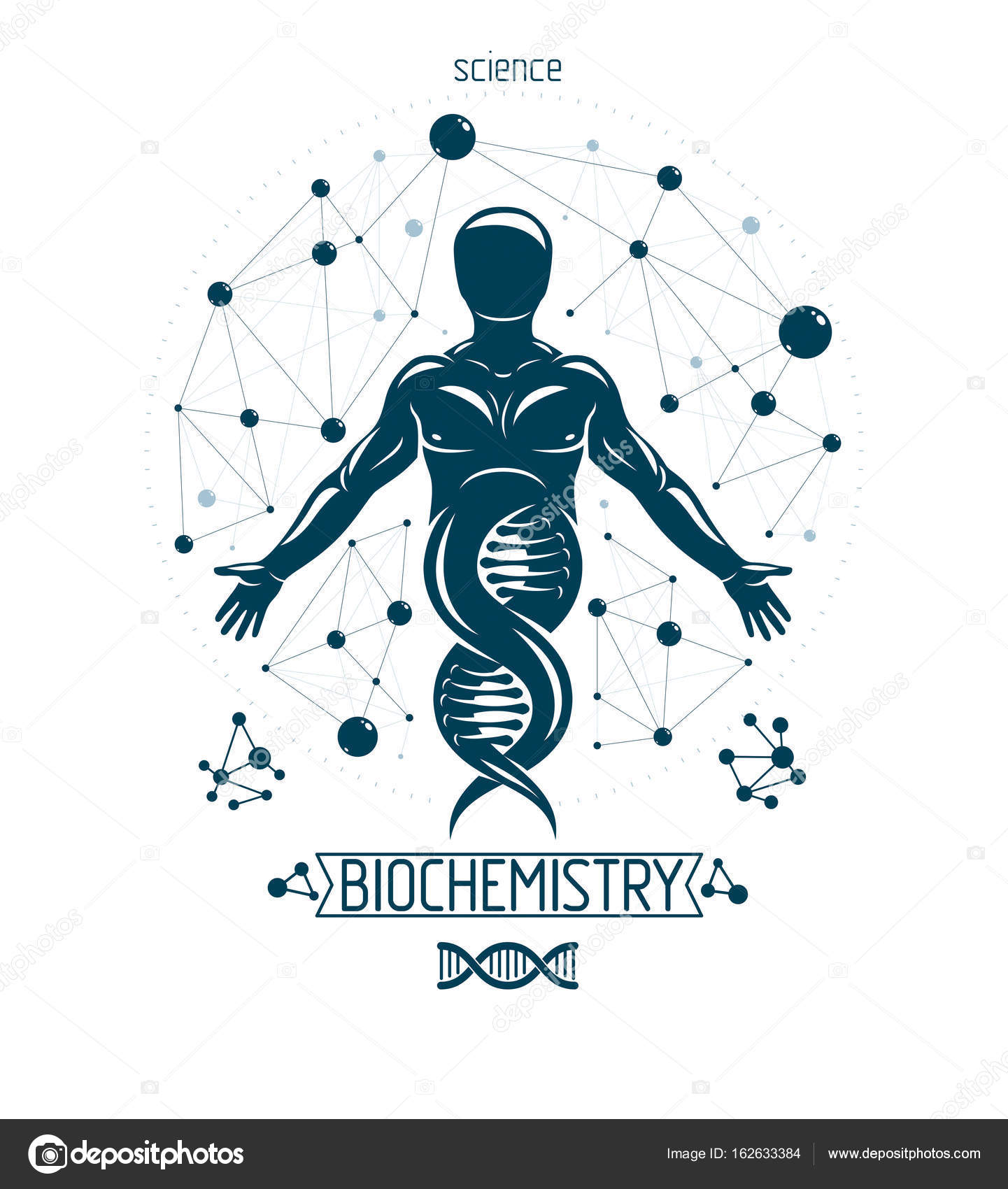 Model of human DNA Stock Vector Image by ©Ostapius #162633384