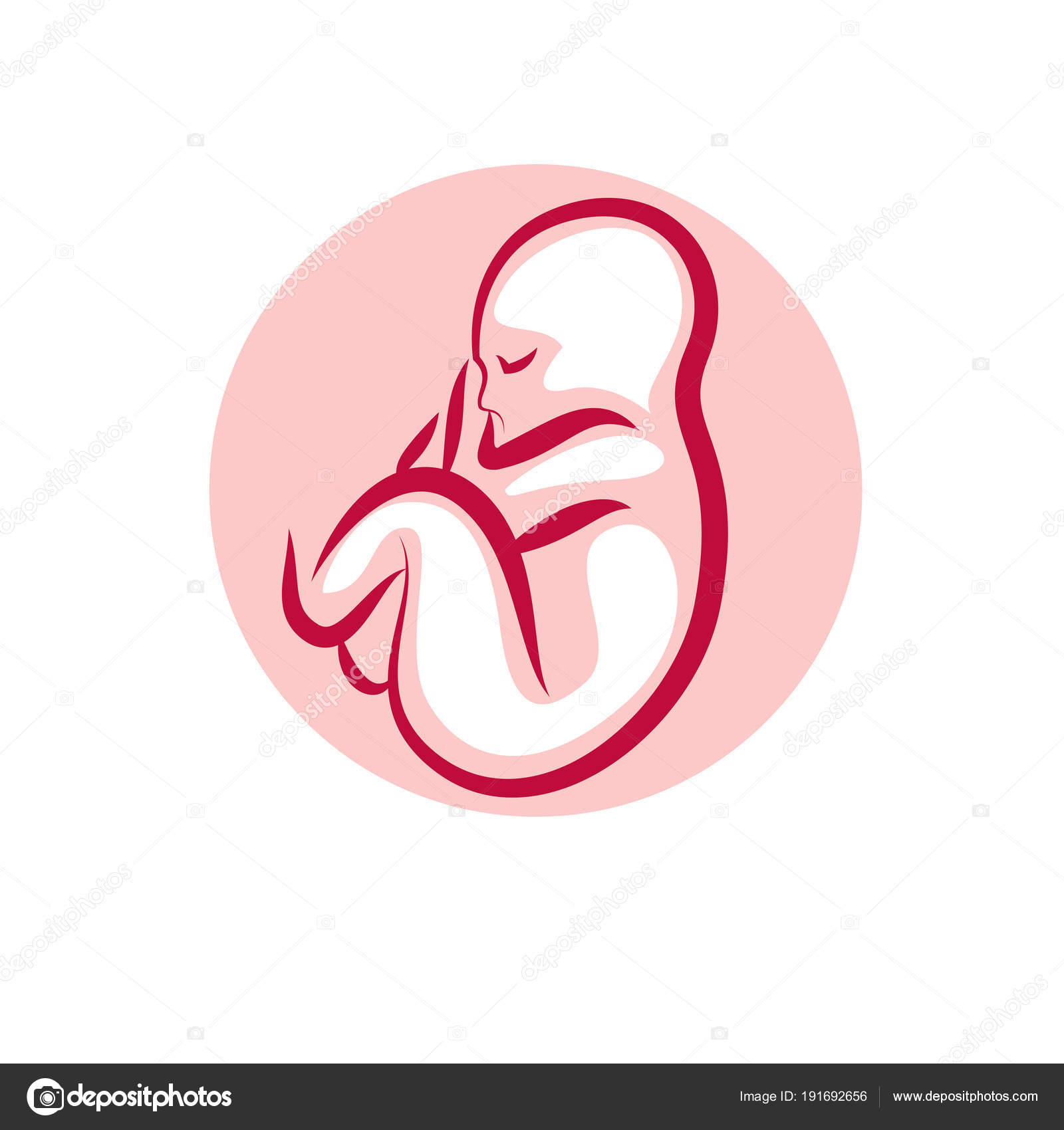 Embryo Drawing Isolated White Background Stock Vector Image by ...