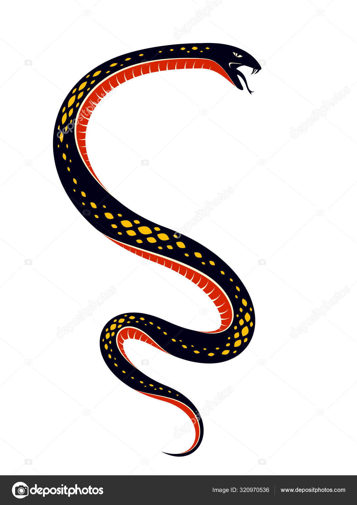 Venomous snake vintage tattoo, vector drawing of aggressive pred Stock ...