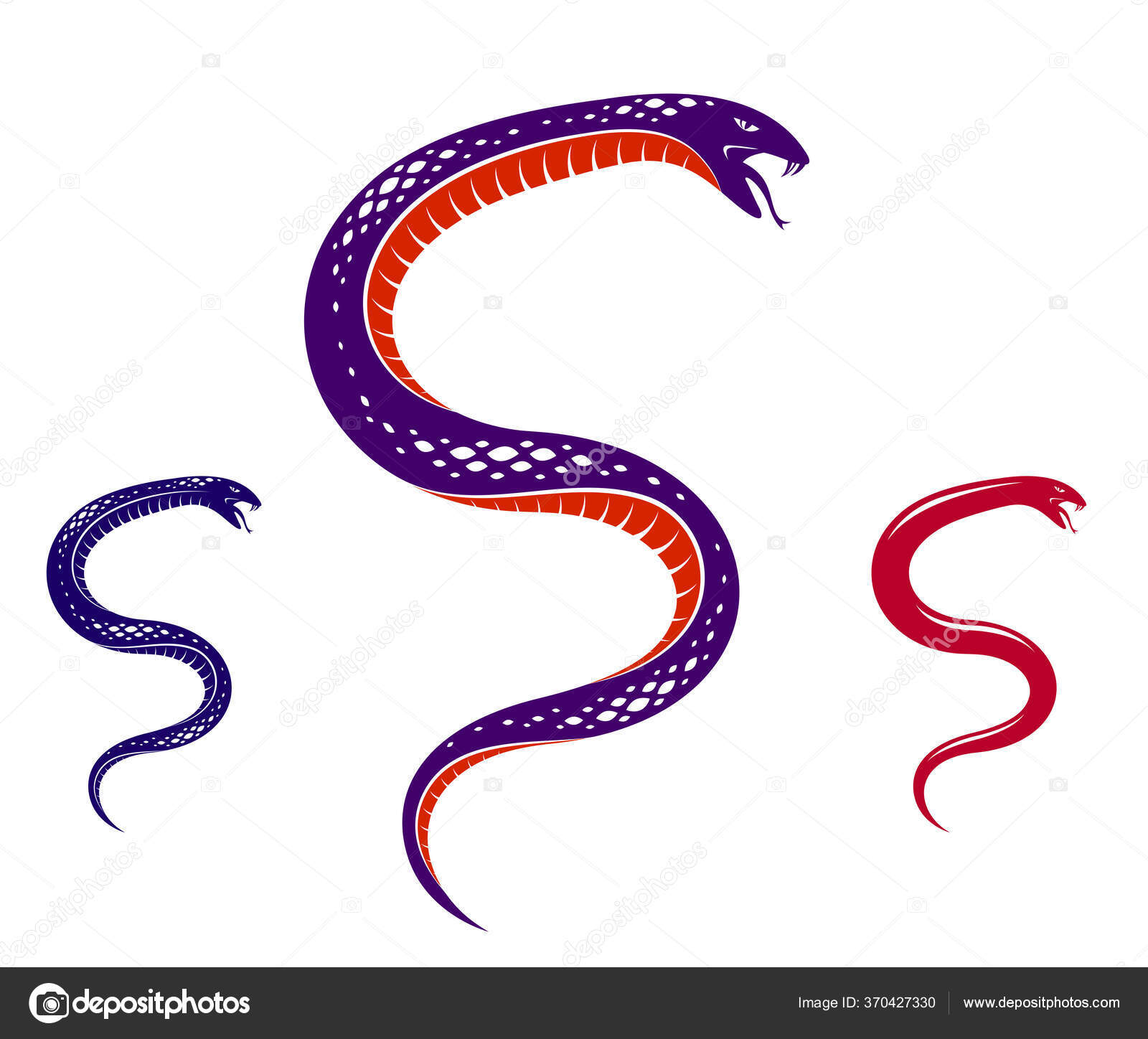 Venomous Snake Vintage Tattoo Vector Drawing Aggressive Predator ...