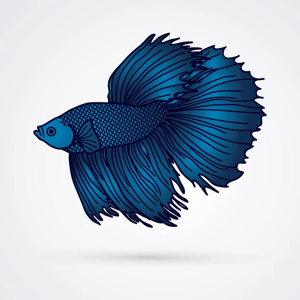 Siamese Fighting Fish Stock Vector Image by ©sila5775 #131476564 Siamese Fighting Fish Stock Vector Image by ©sila5775 #131476564
