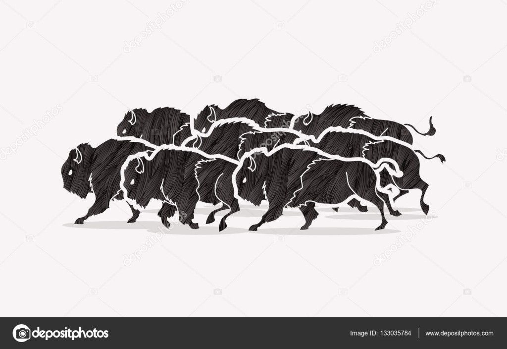 Group of buffalo running — Stock Vector © sila5775 #133035784