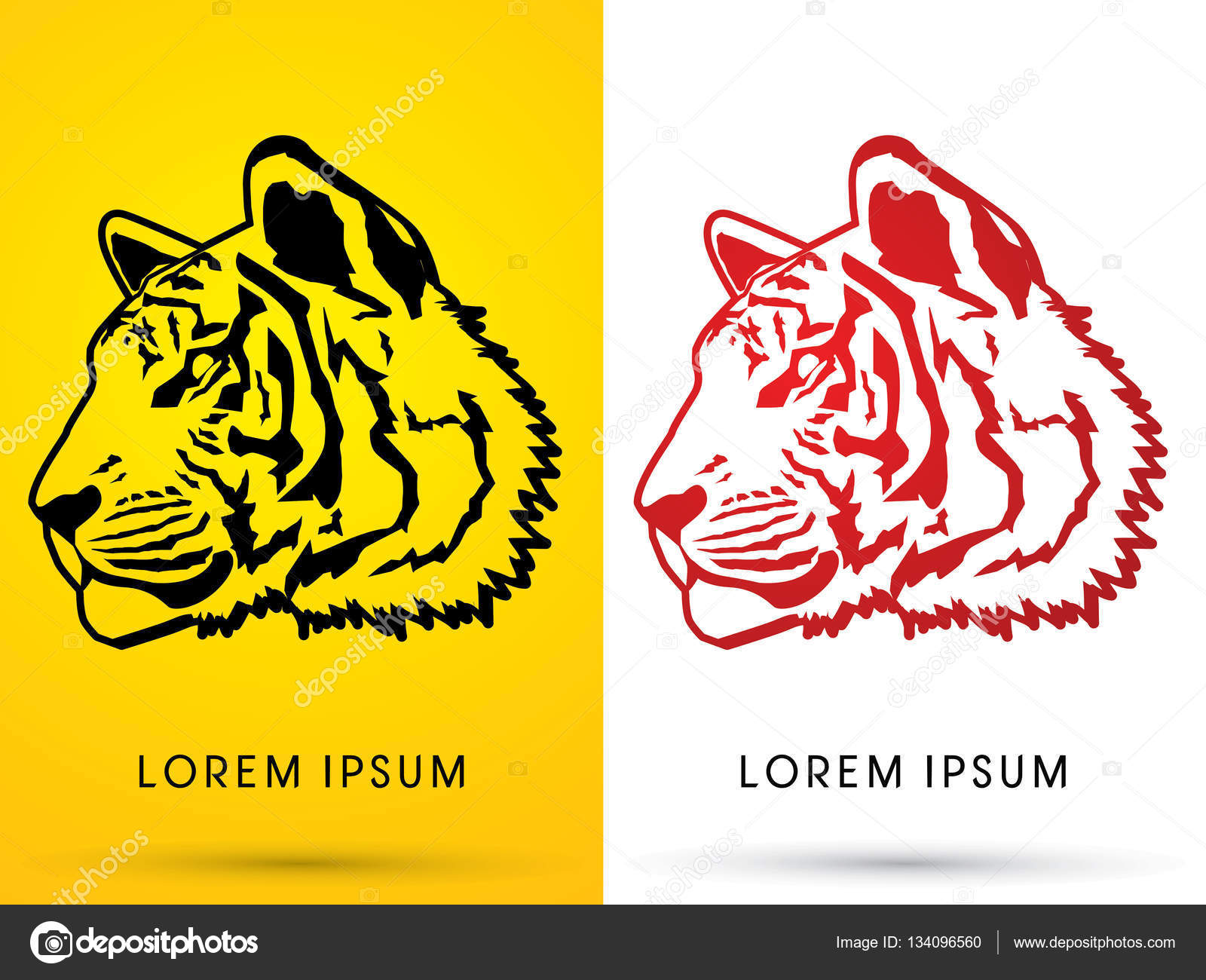 Tiger Face Side View