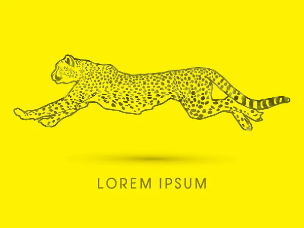 489 Cheetah running Vector Images | Depositphotos