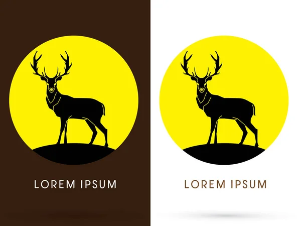 Deer standing front Vector Art Stock Images | Depositphotos