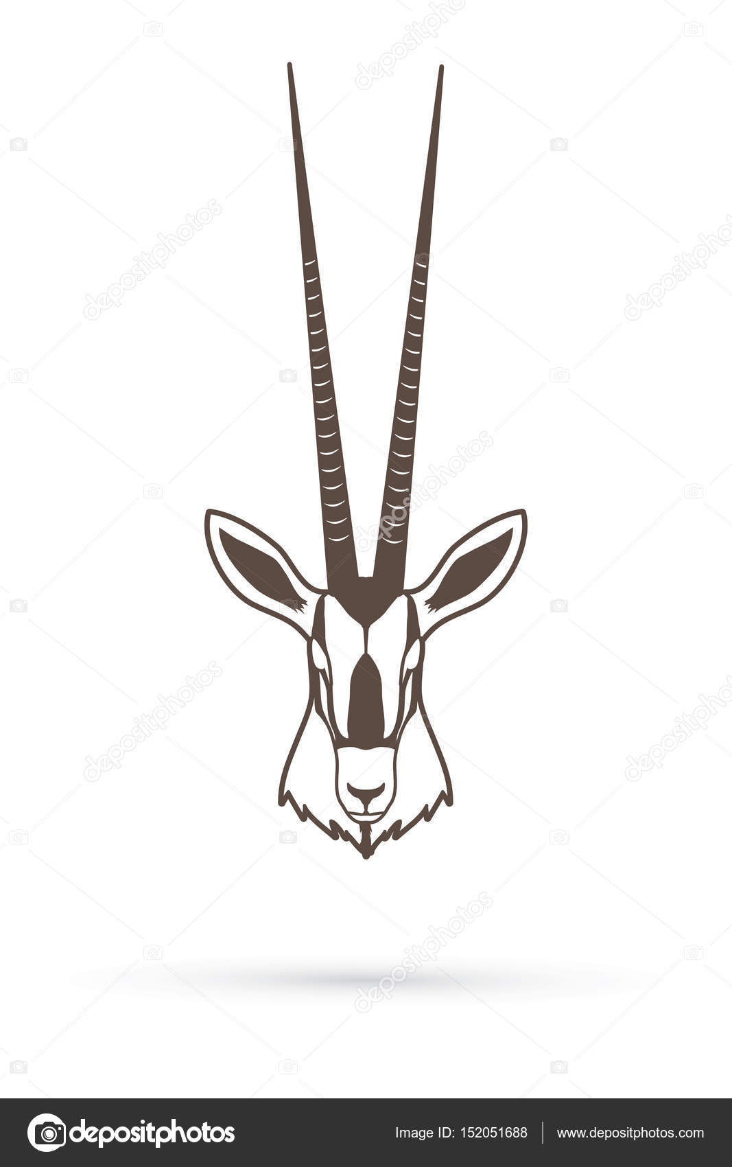 Oryx Head Drawing