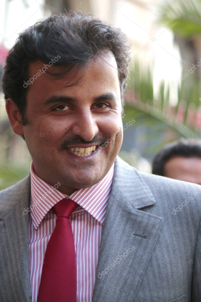 Sheikh Tamim bin Hamad bin Khalifa Al Thani 2024
