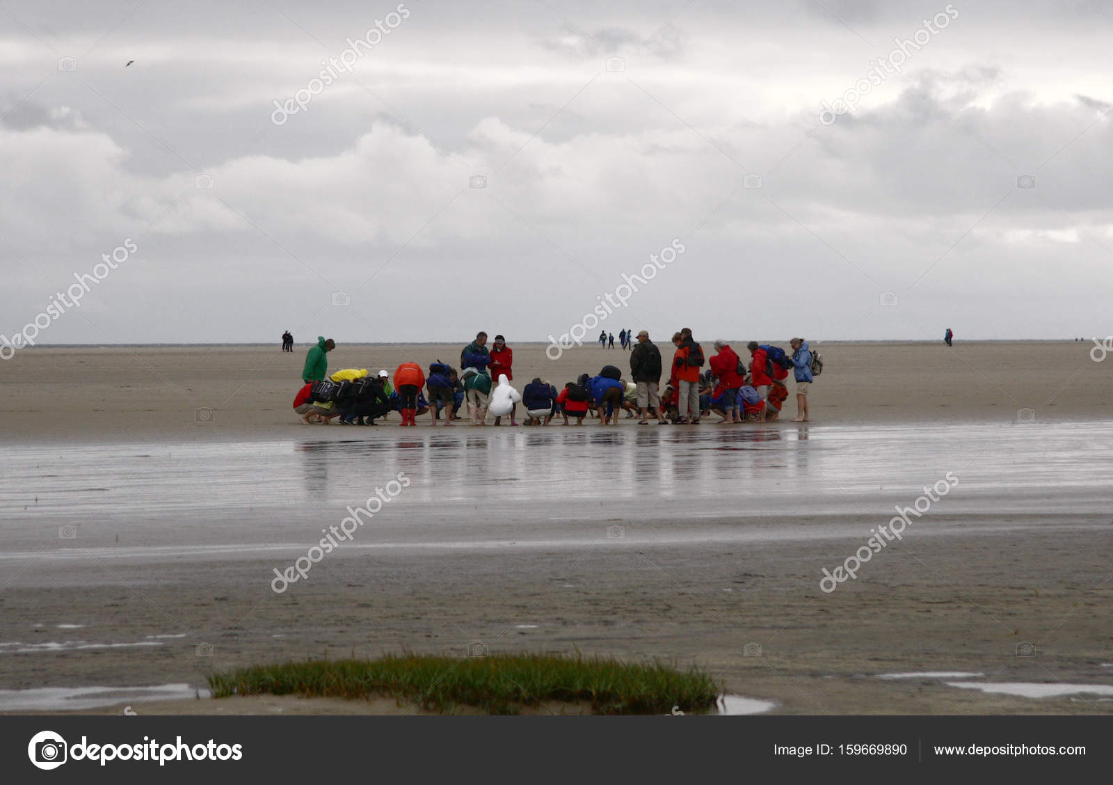 Walking on tidal flats of Wadden Sea – Stock Editorial Photo © 360ber ...
