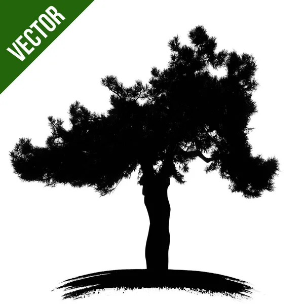 Leafy tree silhouette on white background from side - vector ...