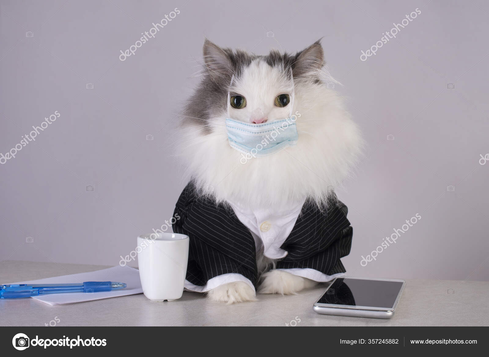 Fluffy Cat Medical Mask Workplace Pandemic — Stock Photo © kuban_girl ...