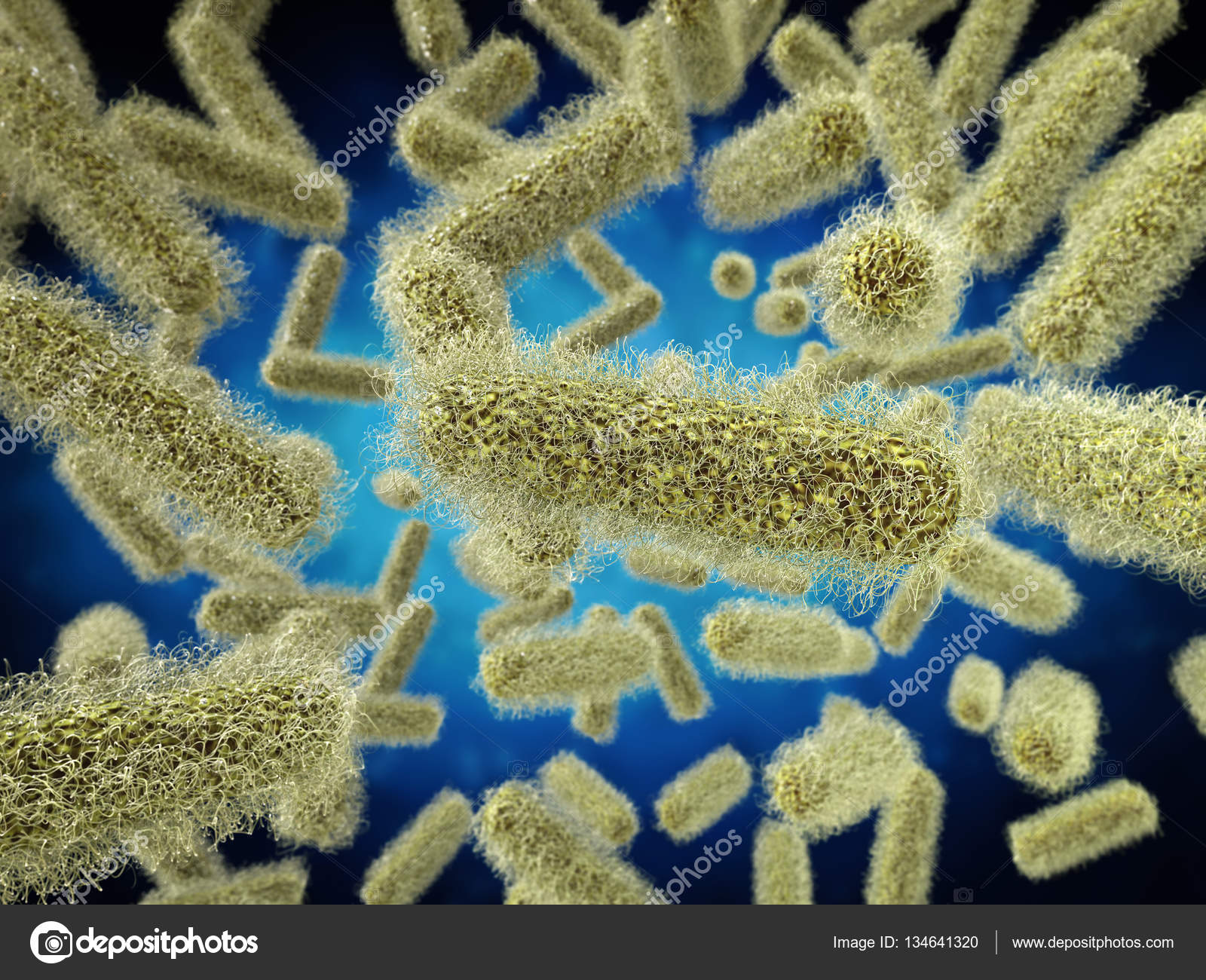 Stick shape bacteria cells Stock Photo by ©phonlamai 134641320