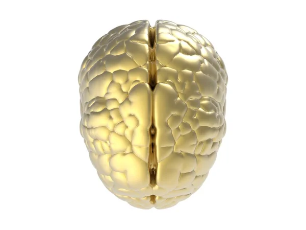 Gold brain Stock Photos, Royalty Free Gold brain Images | Depositphotos