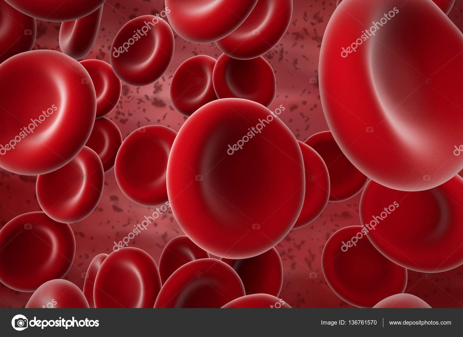 Glóbulos rojos — Foto de stock #136761570 © phonlamai