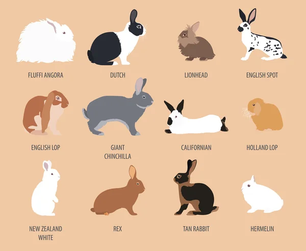 100,000 Zealand vector nature Vector Images | Depositphotos