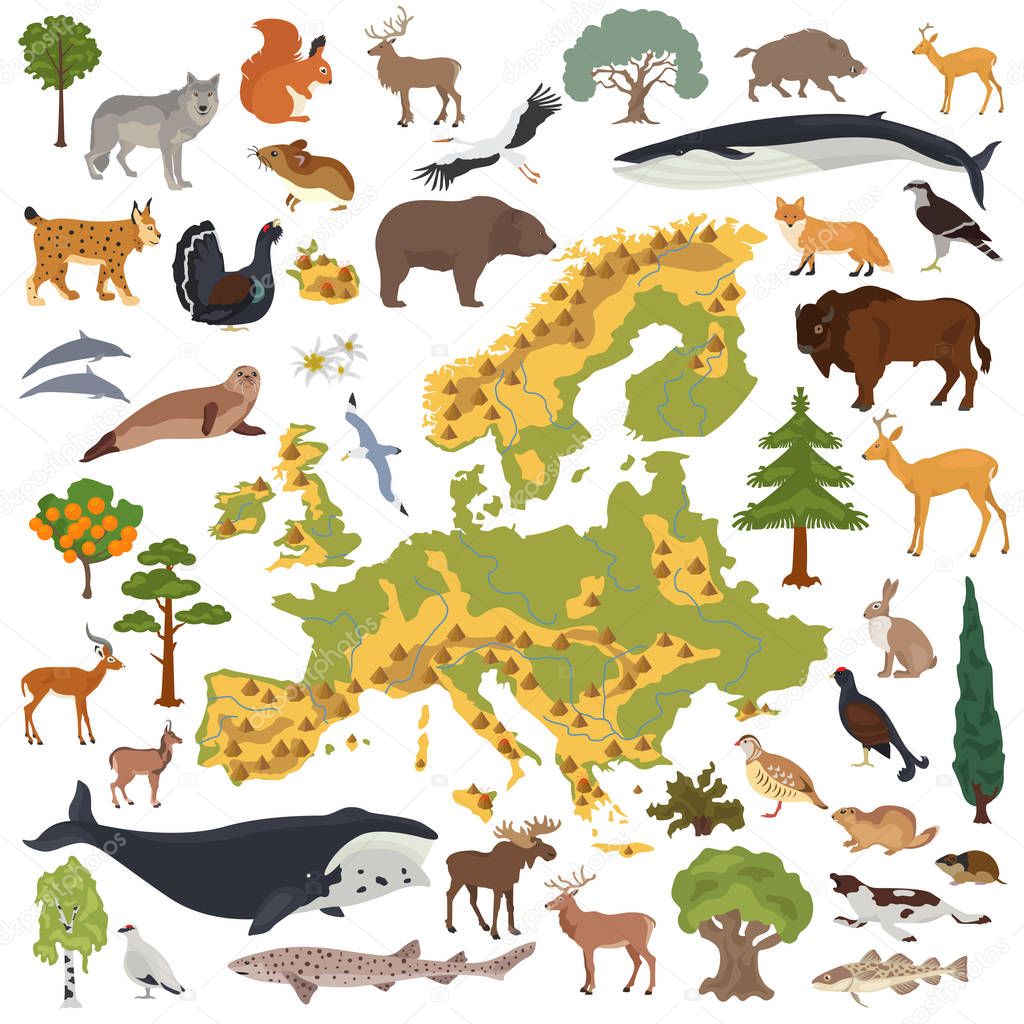 Plana flora y fauna europea mapa elementos constructores. Animales., 2024