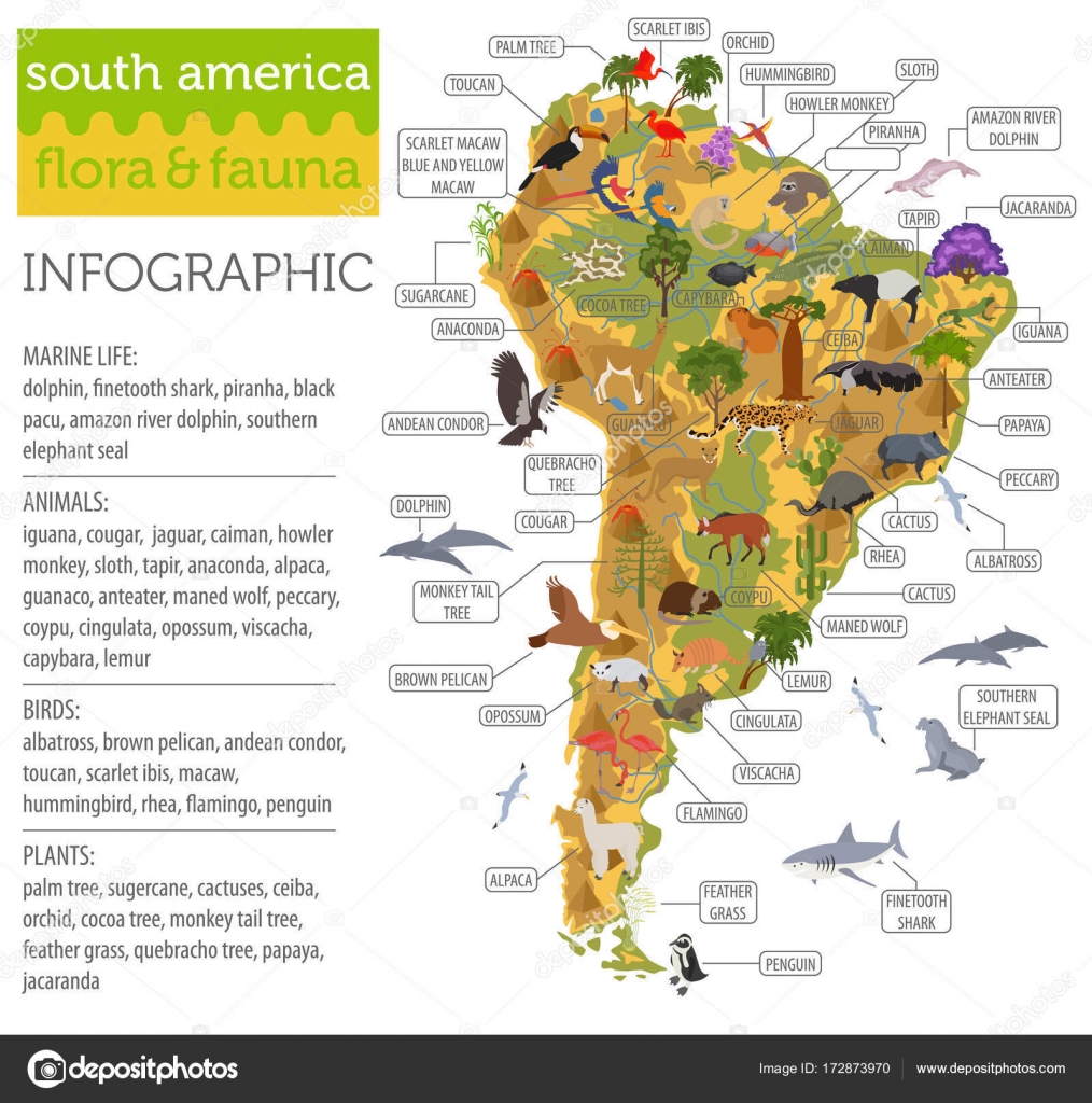 América del Sur flora y fauna mapa, elementos planos. Animales, aves ...