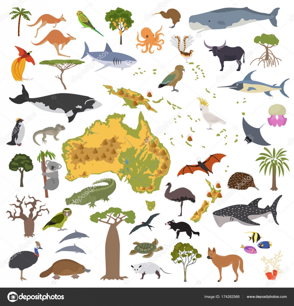 Australia and Oceania flora and fauna map, flat elements. Animal Stock ...