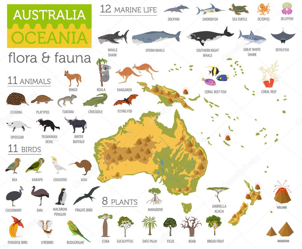 Australia y Oceanía mapa de flora y fauna, elementos planos. Animales. 2024