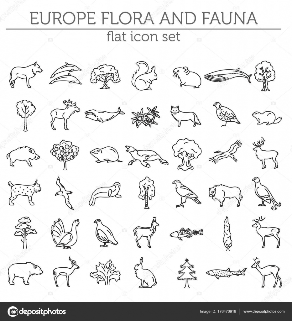 Flat European flora and fauna elements. Animals, birds and sea Stock ...