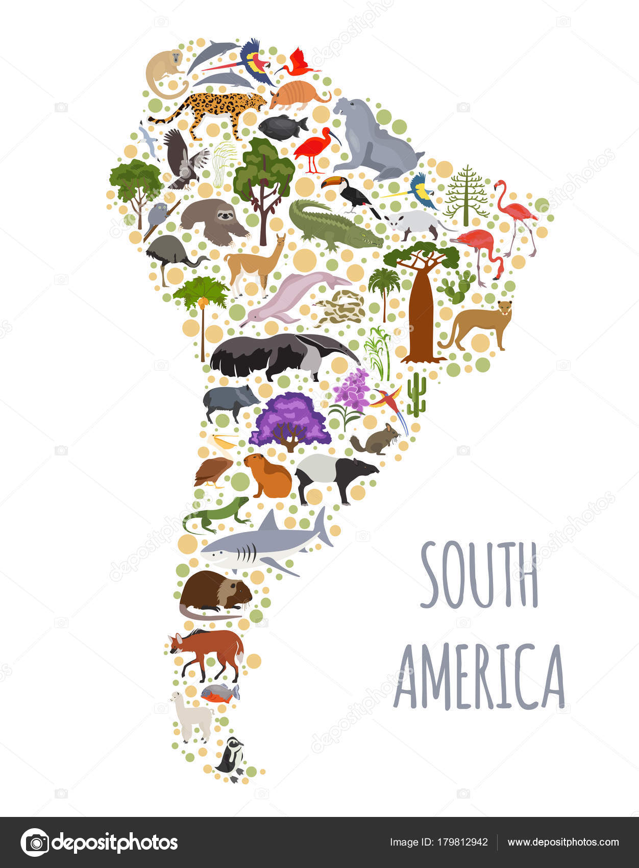 América del Sur flora y fauna mapa, elementos planos. Animales, aves ...
