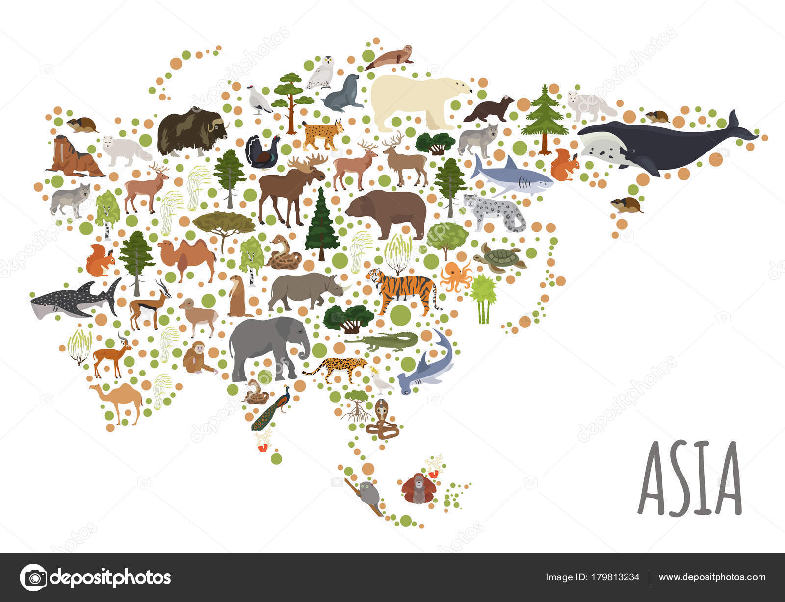 Flat Asian flora and fauna map constructor elements. Animals, bi Stock ...