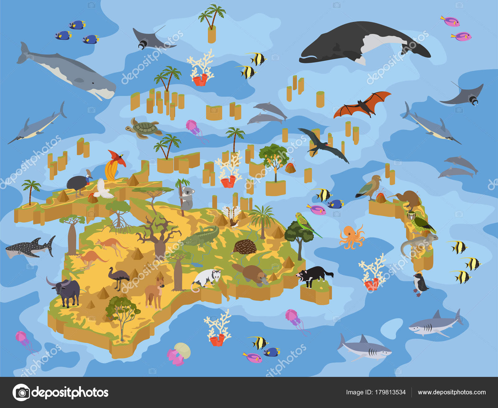 Isométrico 3d Australia y Oceanía flora y fauna mapa elementos . Vector ...