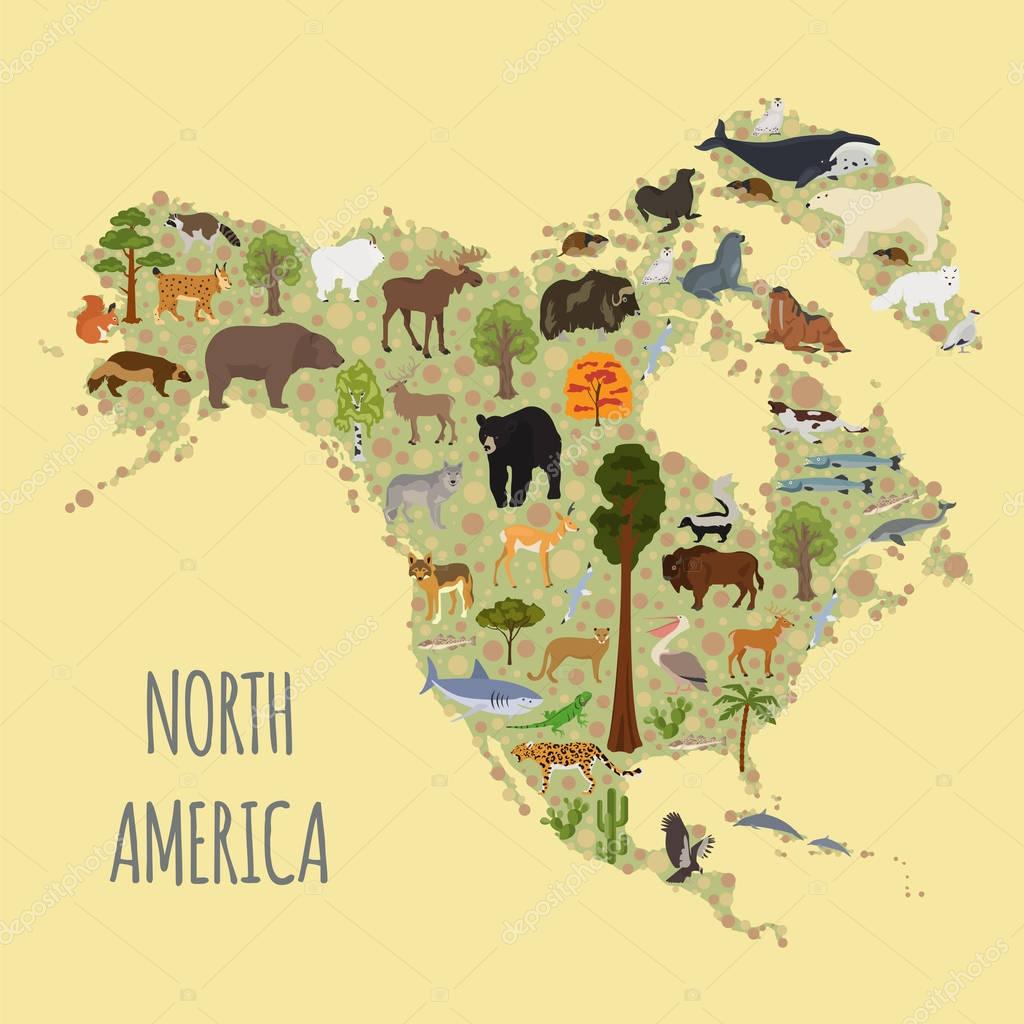 América del Norte flora y fauna mapa, elementos planos. Animales, aves ...