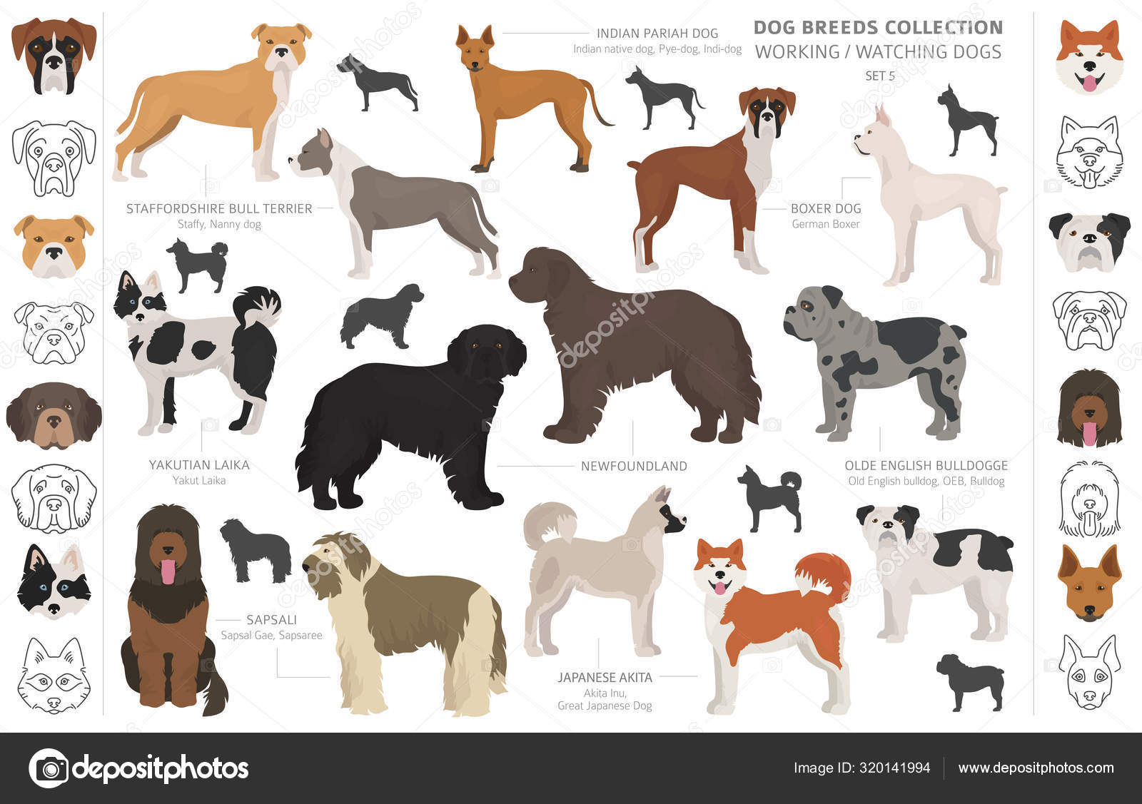 Cute Indian Pariah Puppy | ppgbbe.intranet.biologia.ufrj.br