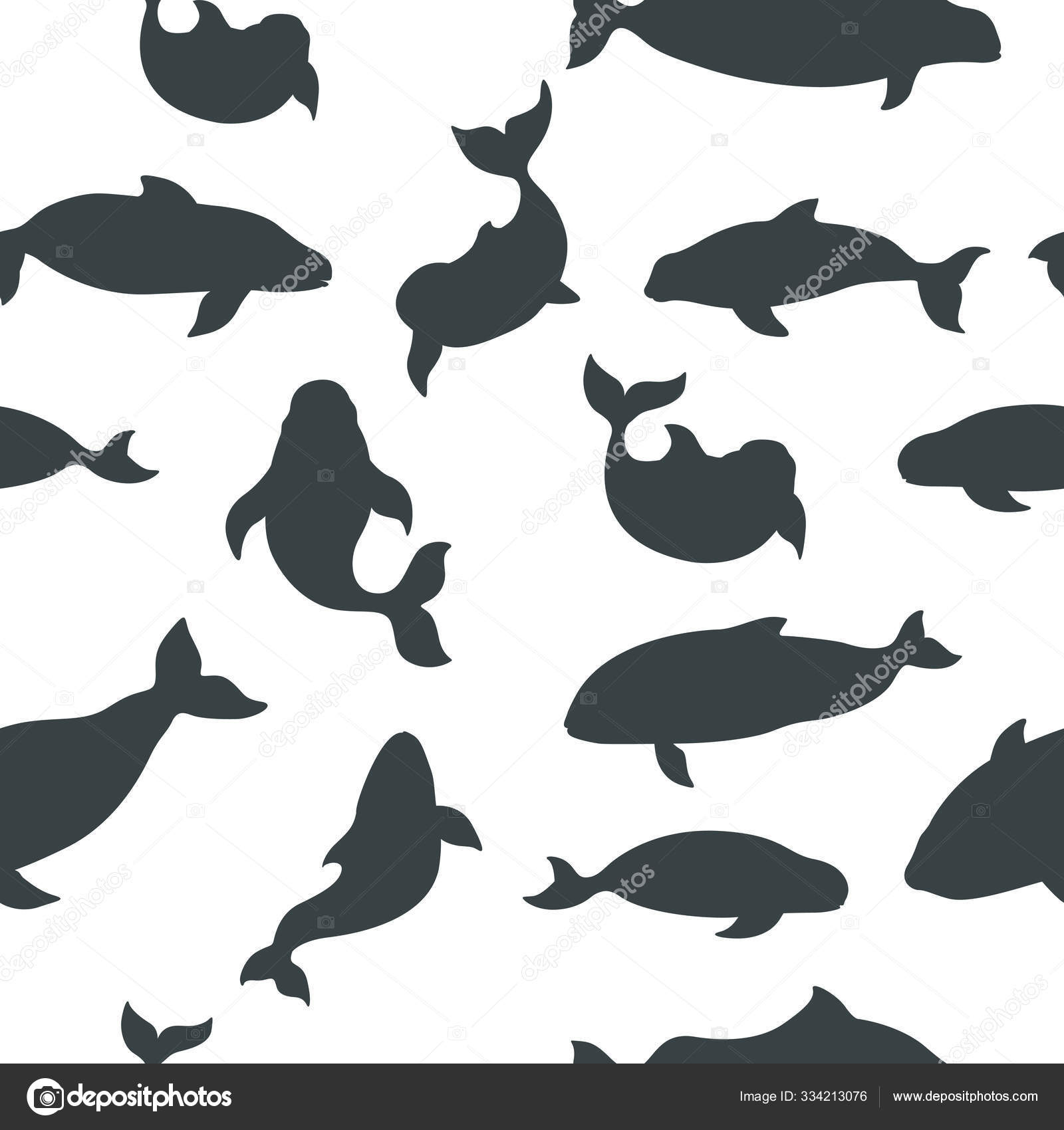 Colección de mamíferos marinos. Diferentes marsopas. Dibujos animados ...