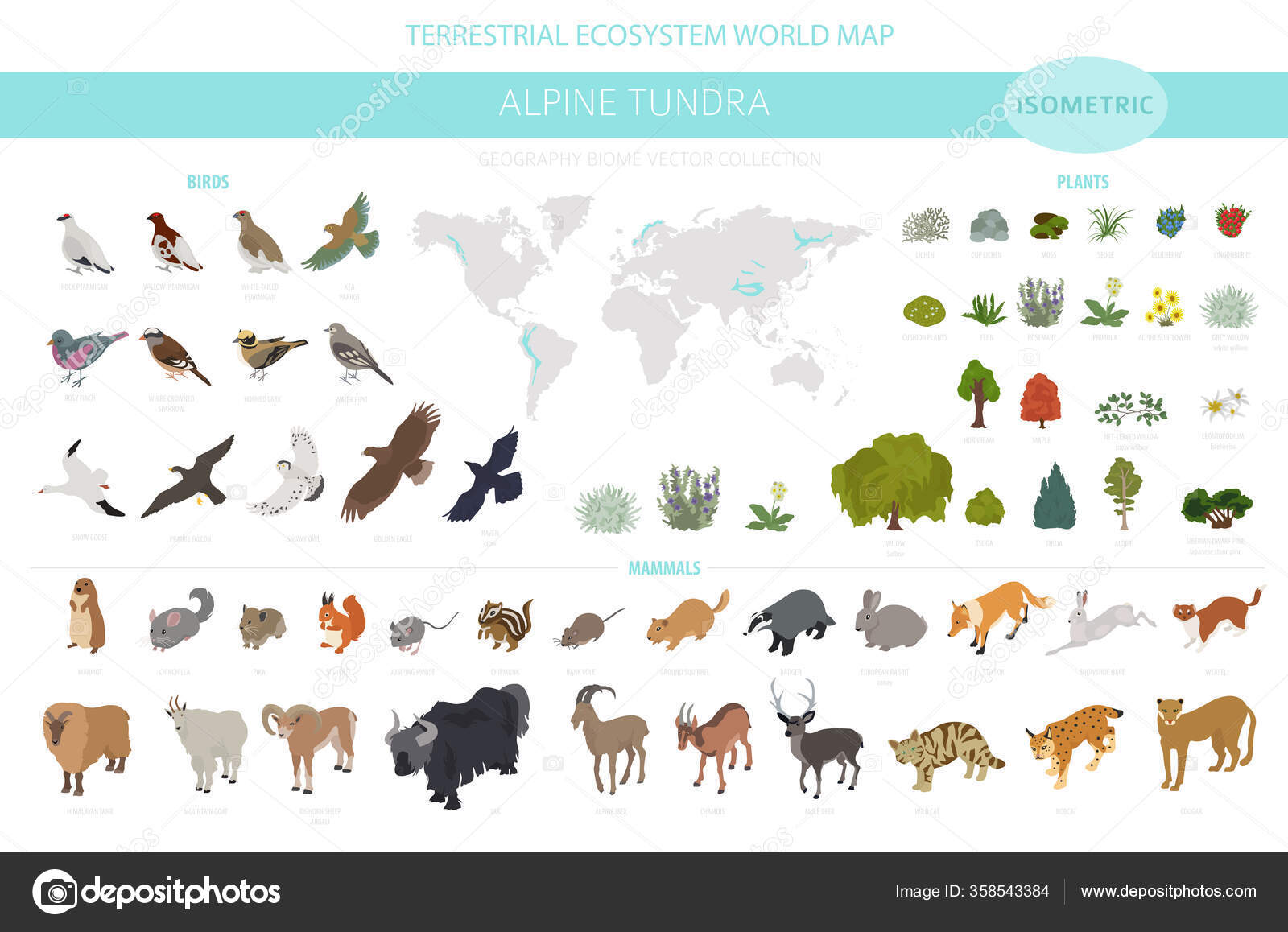 Mapa Do Bioma Tundra Here's What The World Would Look Like If Nature