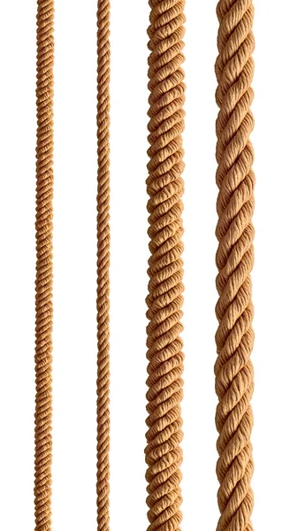 Anatomy of human bony system, human skeletal system, the skeleton ...