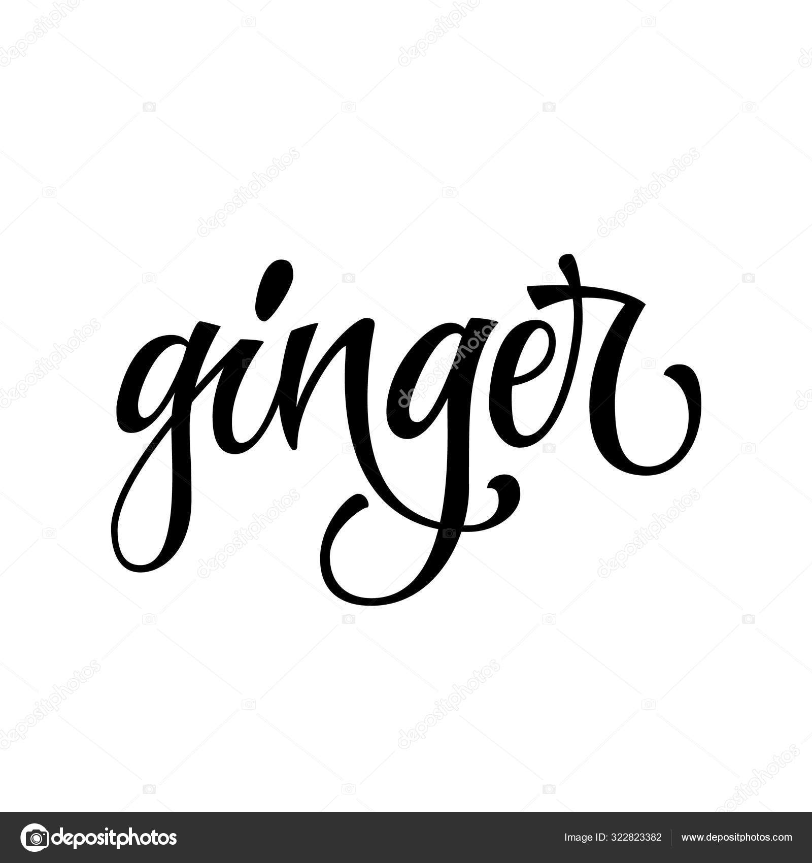 Ginger - hand drawn spice label. Isolated calligraphy script sty ...