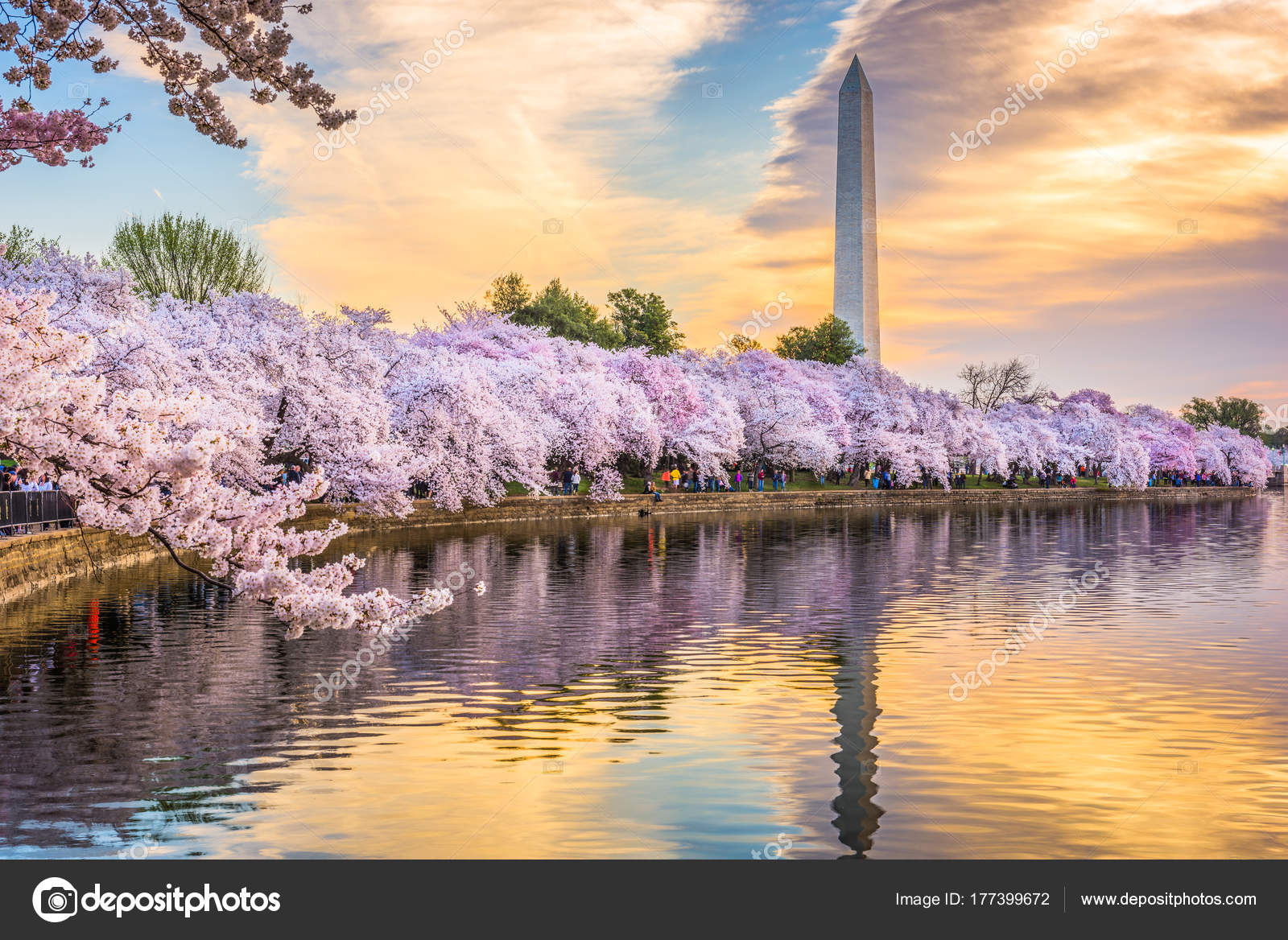 Washington DC, USA in Spring – Stock Editorial Photo © sepavone #177399672
