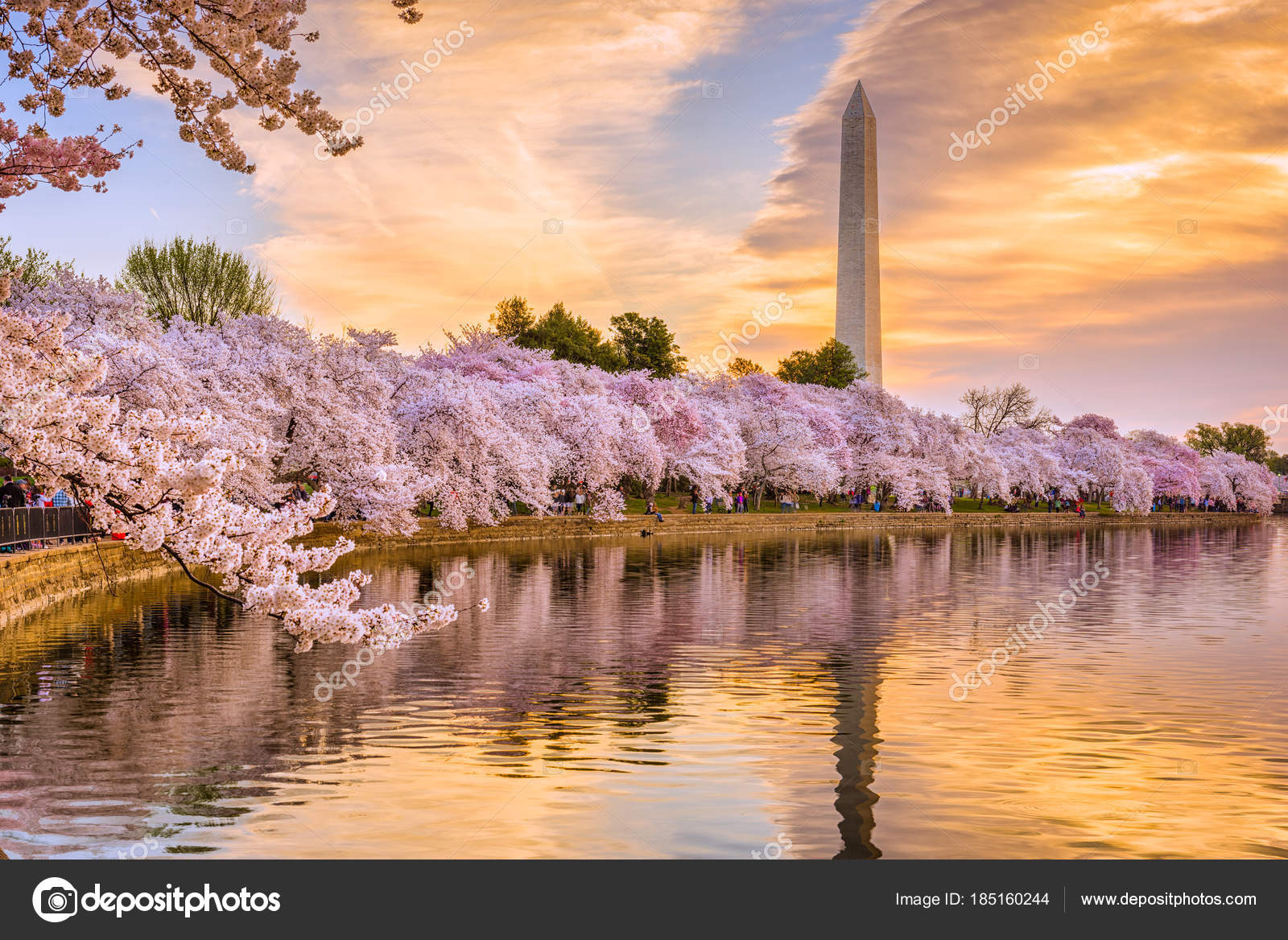 Washington DC in Spring Stock Photo by ©sepavone 185160244