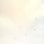 sky and sunshine — Stock Photo © robertsrob #20079337