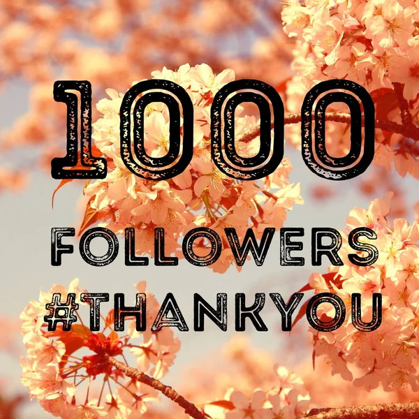 1000 followers Stock Photos, Royalty Free 1000 followers Images ...