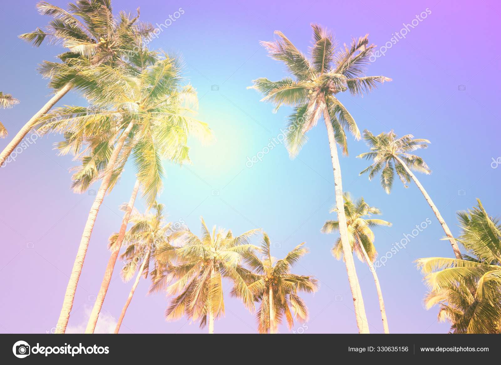 Vintage Palm Tree Background