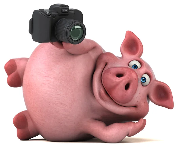 ᐈ Pig photographs stock photos, Royalty Free 2 pigs kissing images ...