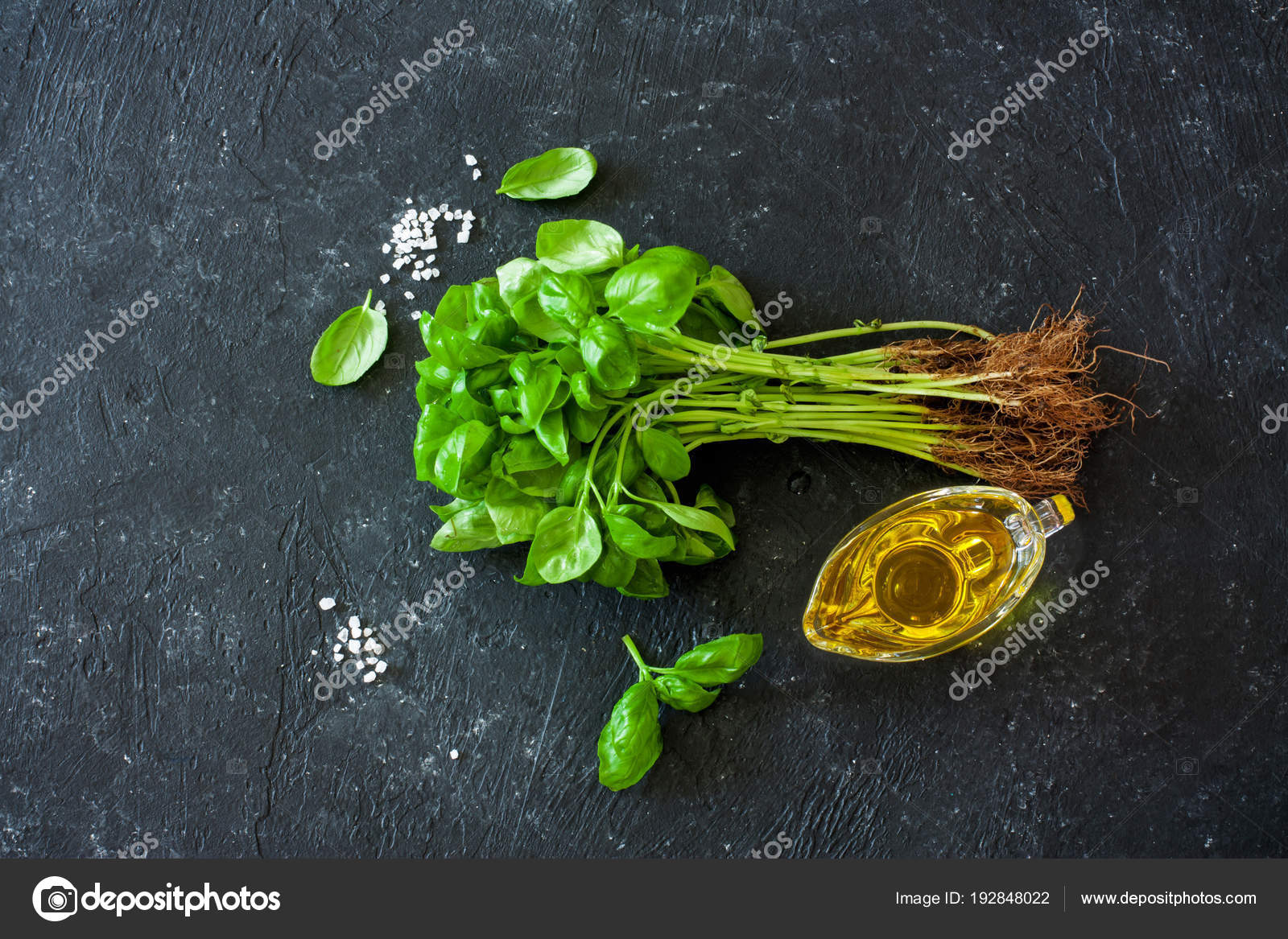 Fresh basil with roots Stock Photo by ©Annata78 192848022