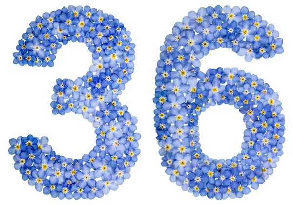 Número 36 fotos de stock, imágenes de Número 36 sin royalties ...