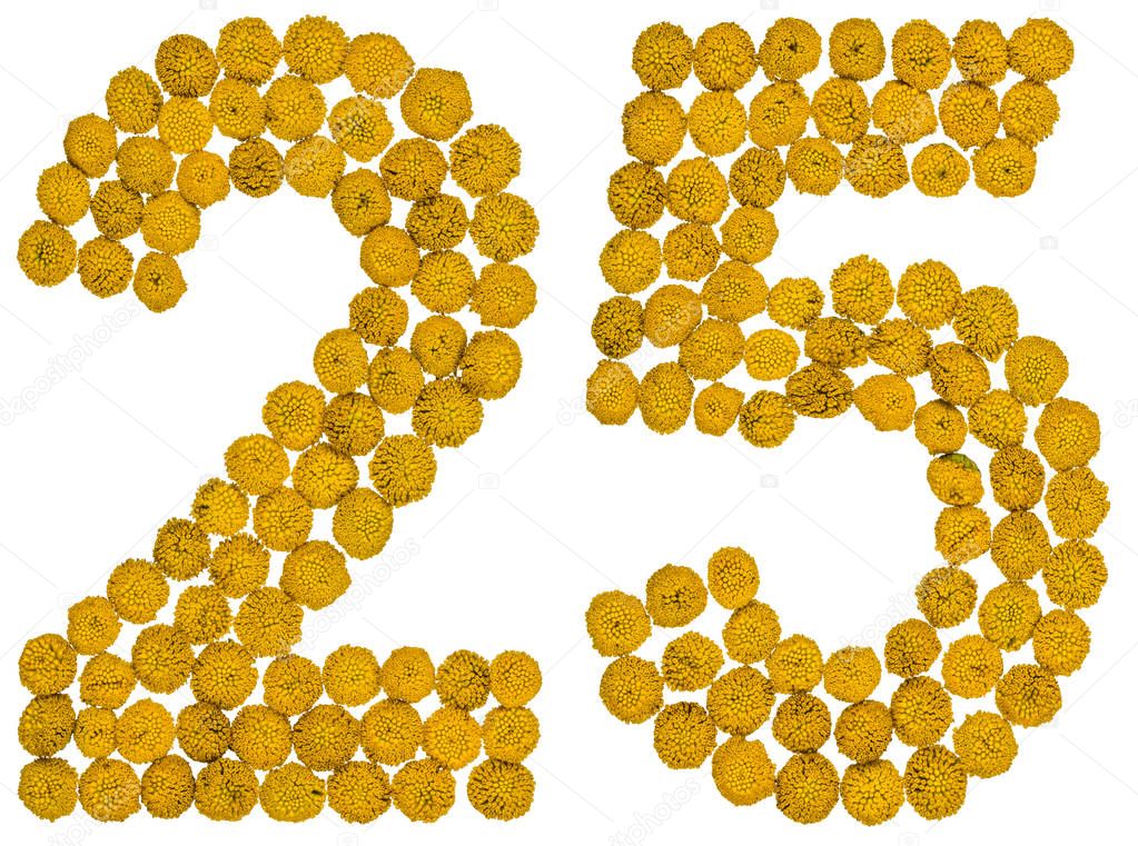 Arabic numeral 25, twenty five, from yellow flowers of tansy, is ... Arabic numeral 25, twenty five, from yellow flowers of tansy, is ...