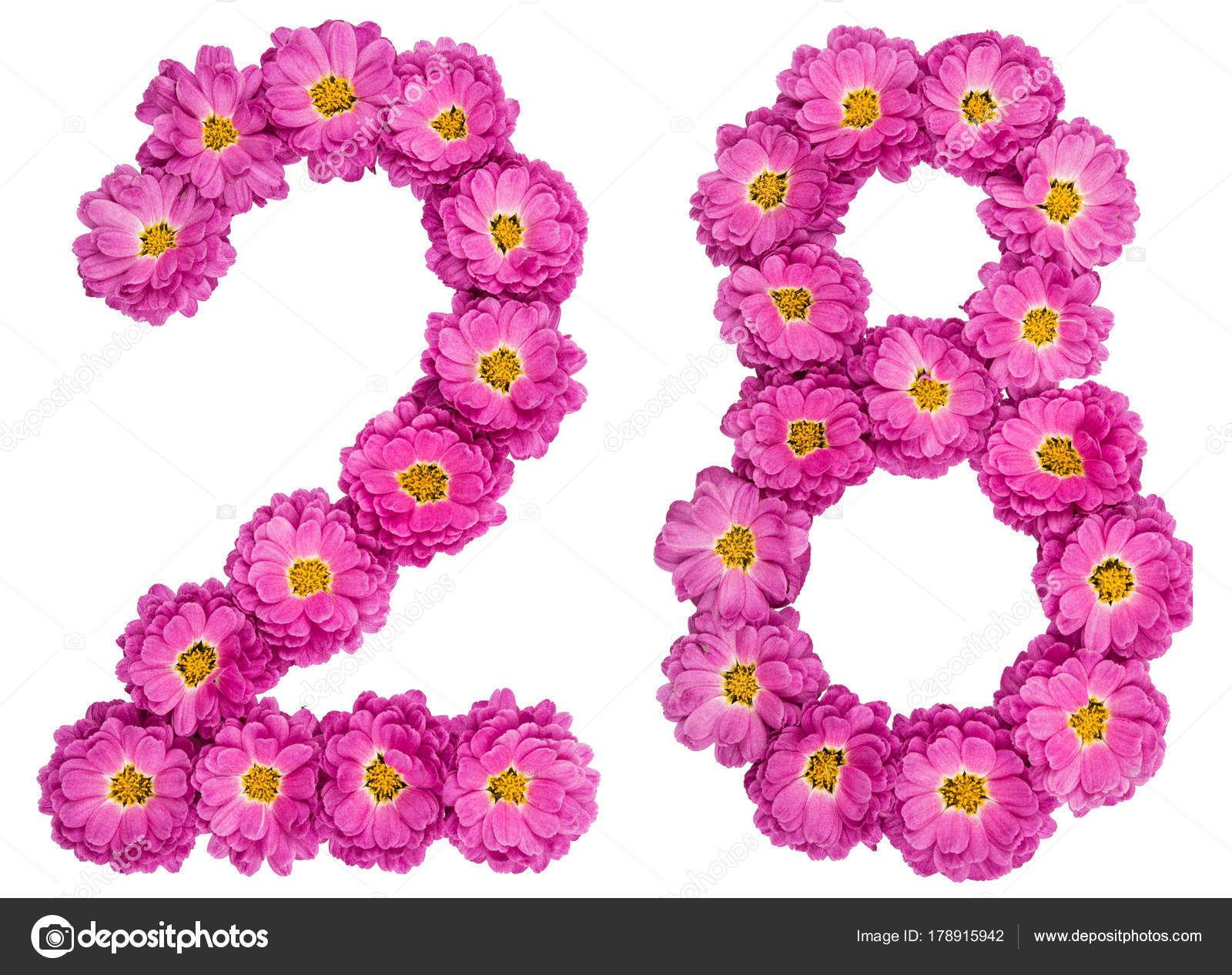 Arabic numeral 28, twenty eight, from flowers of chrysanthemum, — Stock ... Arabic numeral 28, twenty eight, from flowers of chrysanthemum, — Stock ...