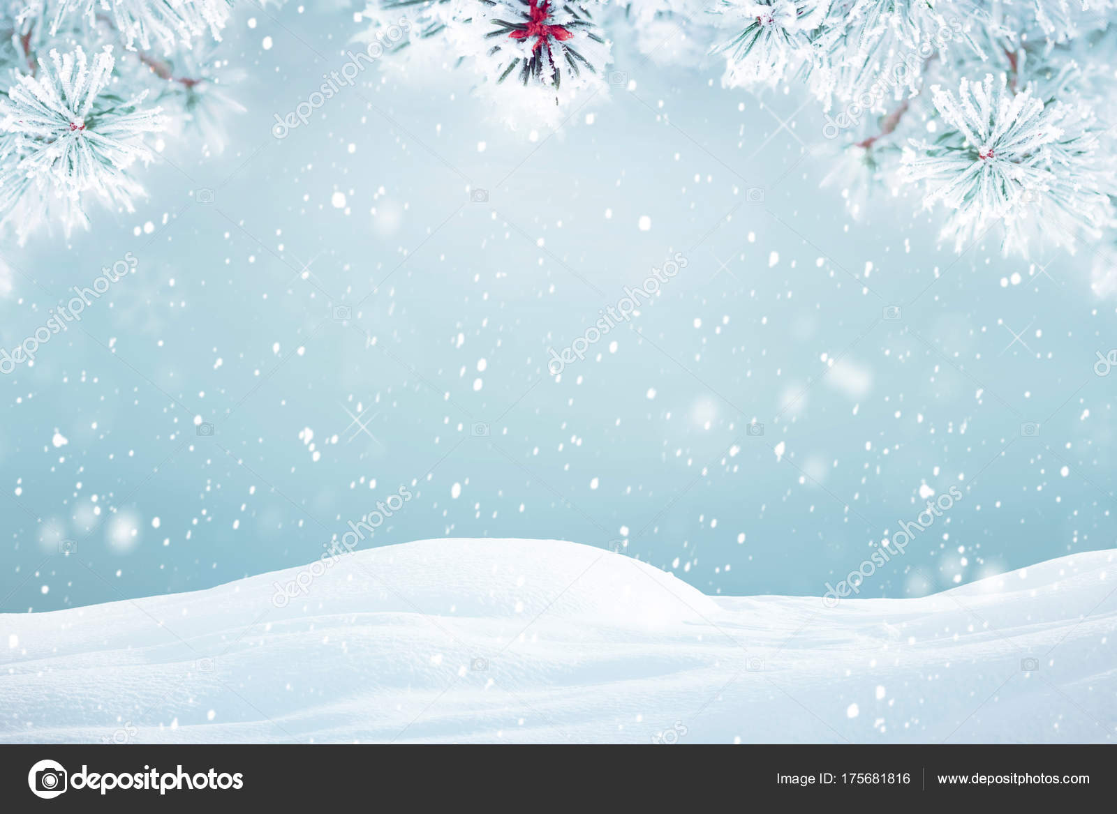 Winter Background Falling Snow Pine Tree Branches Copy Space Stock ...