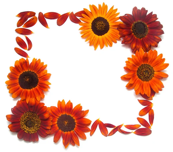 Frame with red flowers Stock Photo by ©Ian_2010 131616756