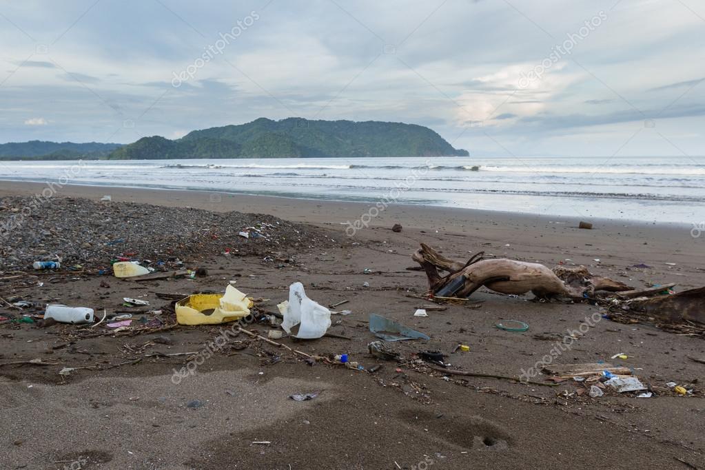 Basura en la playa 2024