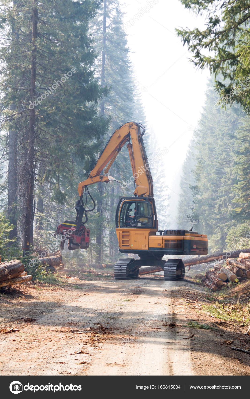 Logging in the woods Stock Photo by ©wollertz 166815004