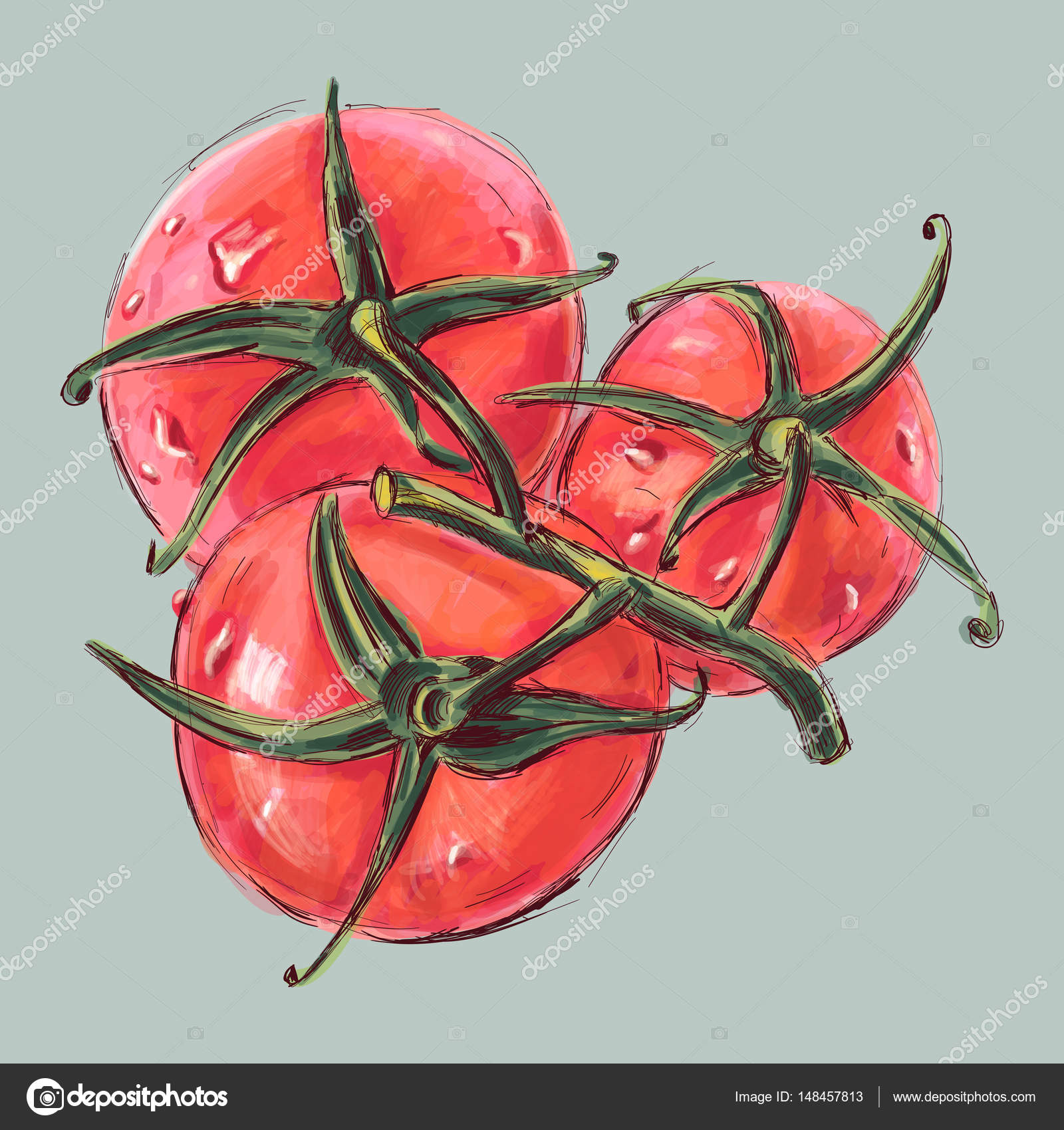 Sketch of red tomatoes Stock Vector Image by ©tiff20 #148457813