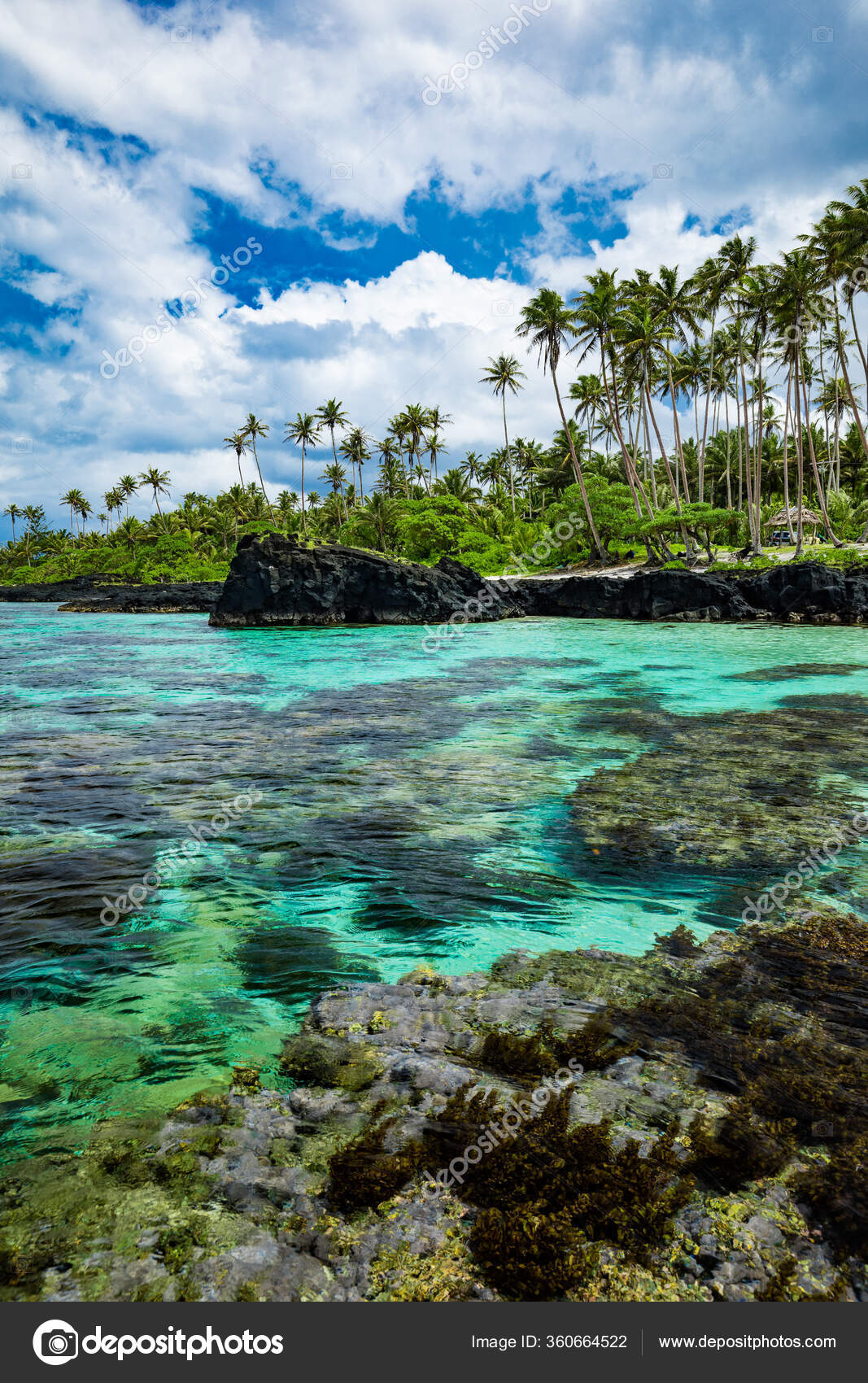 Playa Tropical Lado Sur Isla Samoa Con Palmeras Coco — Foto de stock ...