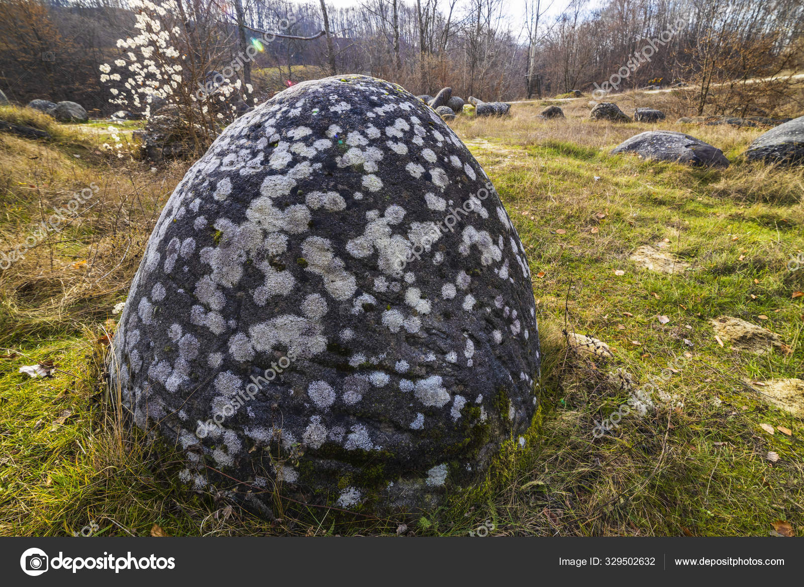 Trovantii – the strangest living stones in Romania. — Stock Photo ...